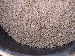 Whole ***Triple Plus Oats HEAVY OATS *** - 20KG - M001900B Country ...