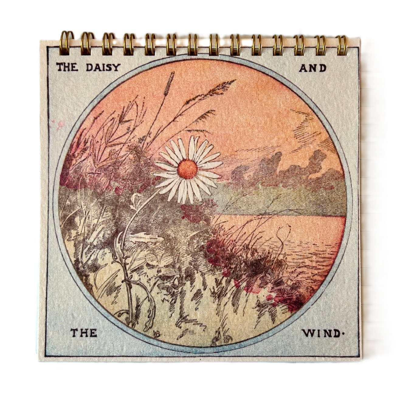 The Daisy and the Wind Notebook - TMORA Shop