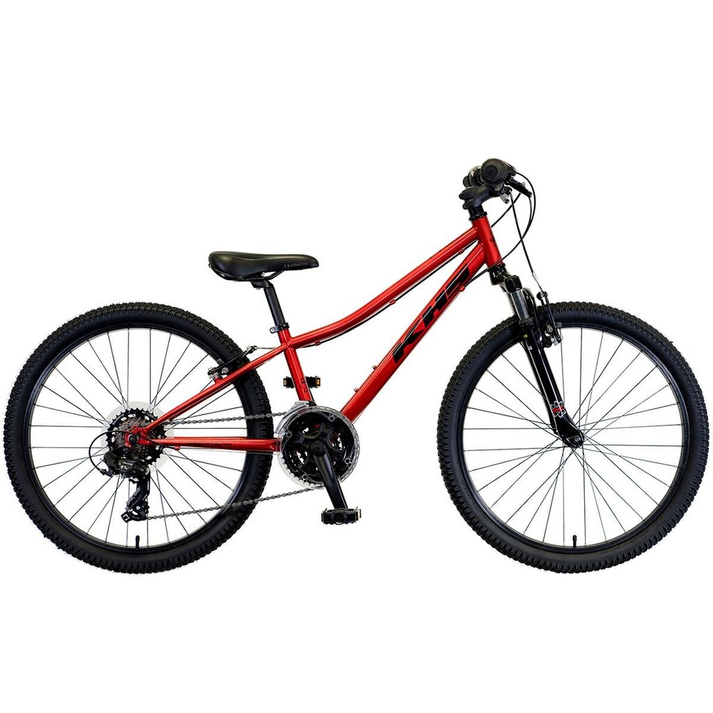 T-rex Red 21sp 24" - Station Ski & Ride