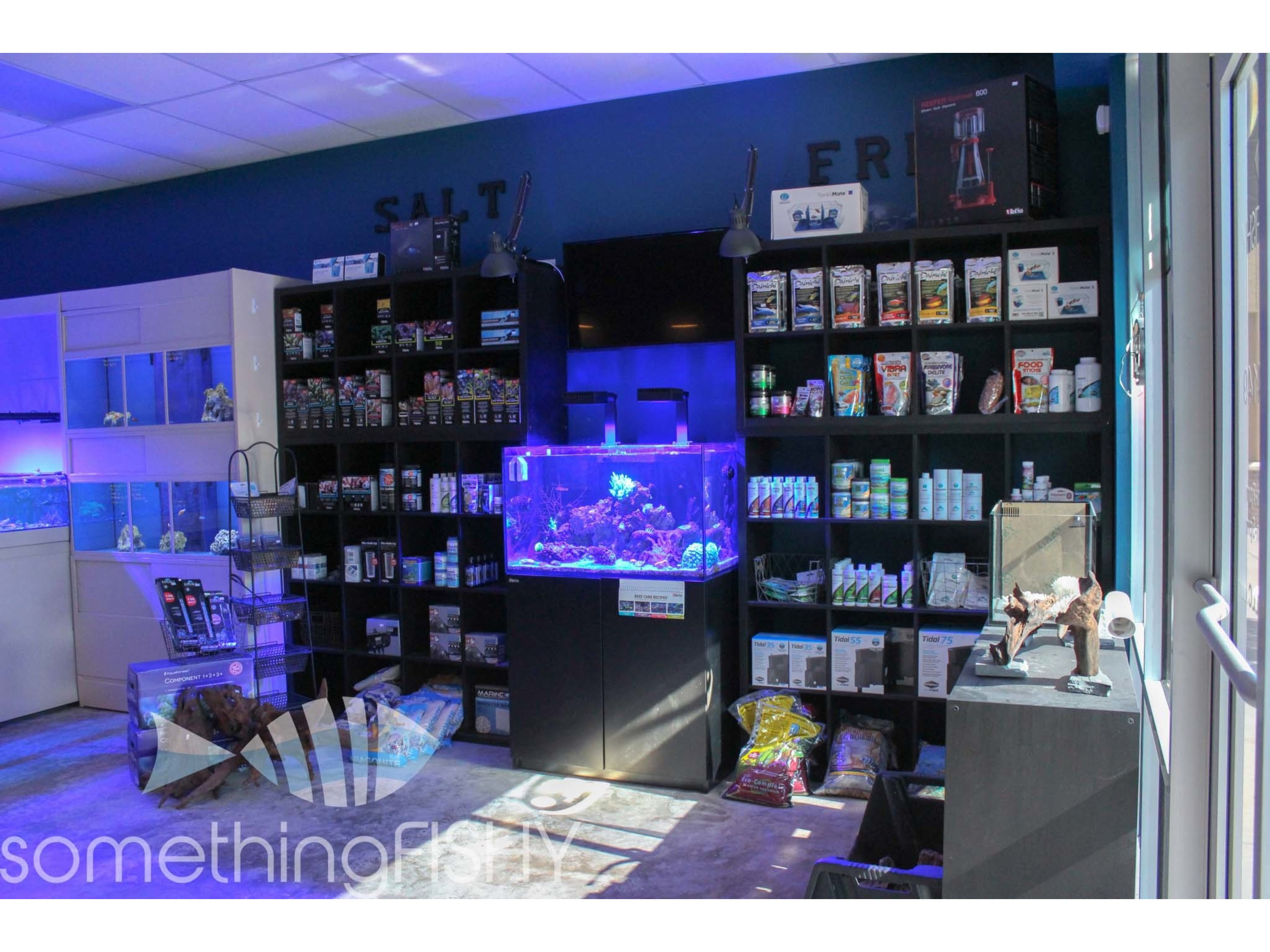 Orlando's Largest Aquarium Store Selection - Somethingfishy Tropicals
