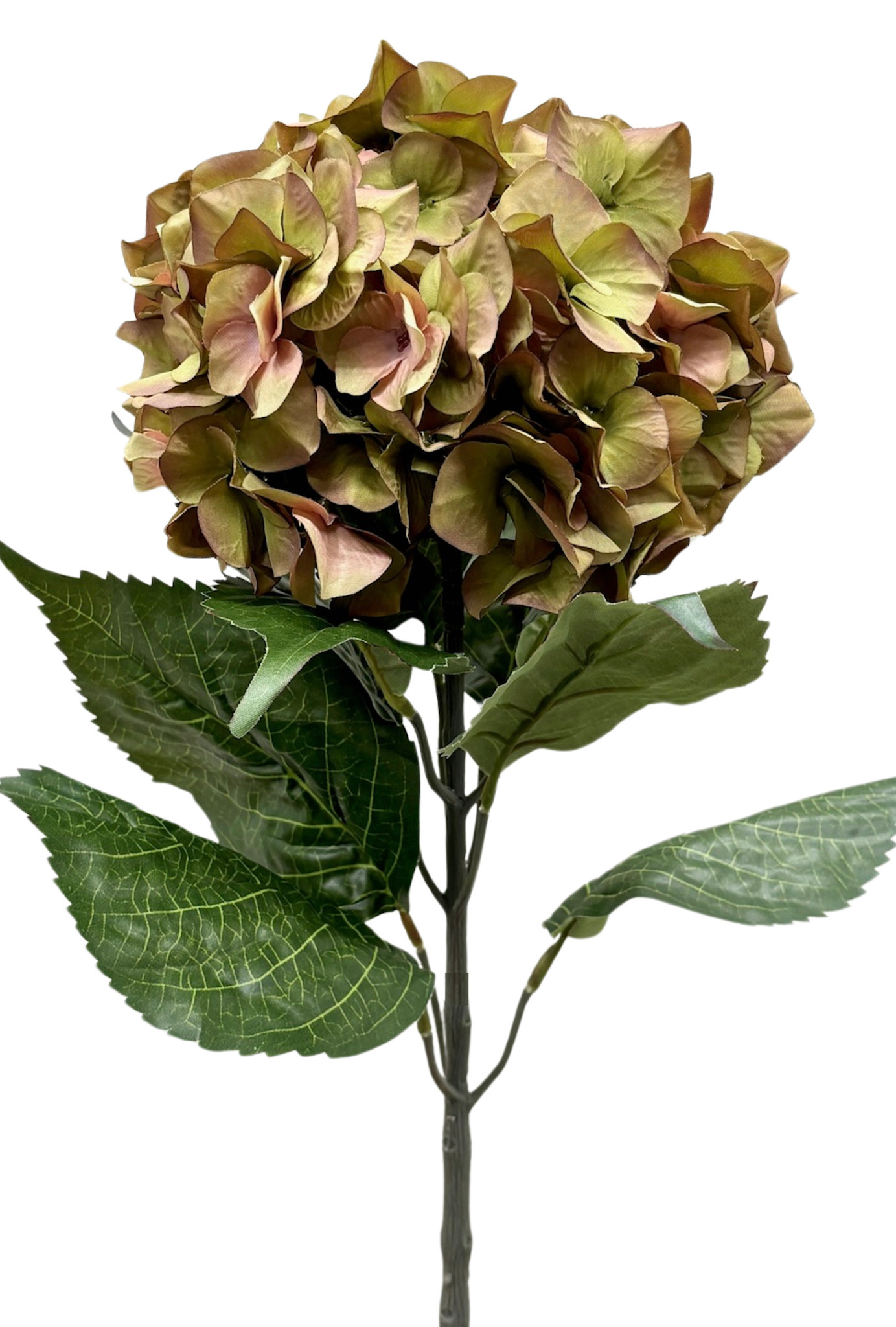 CFH223-MV/GN: 25.5" HYDRANGEA SPRAY MAUVE GREEN - CFD Flower