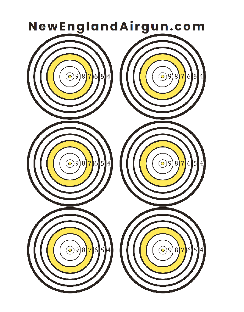 NEAG 100 yard Benchrest Practice Target x20 Pack | 12inx18in format ...