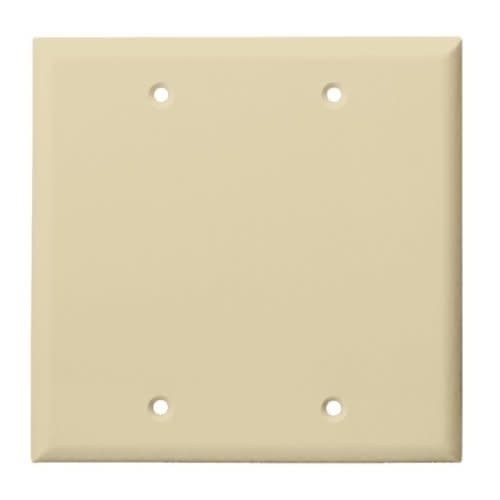 8802-I RESI BLANK WALL PLATE 2-GANG IV TAPA PLASTICA 4X4 - Lumbra Inc