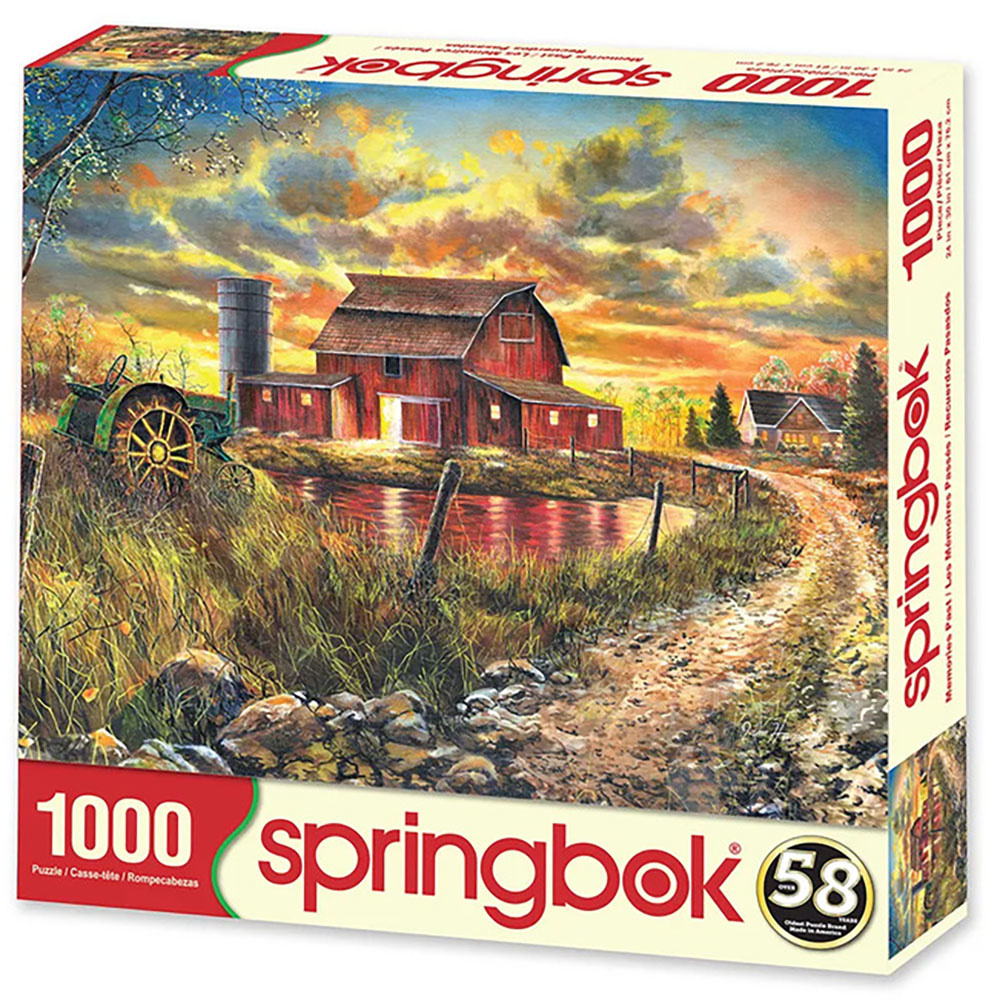 Springbok Memories Past Puzzle 1000pcs - Puzzles Canada