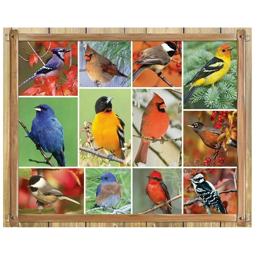 Springbok Songbirds Puzzle 100pcs - Puzzles Canada