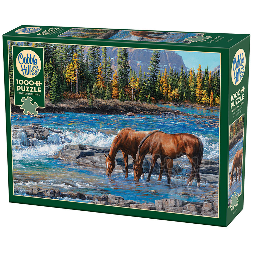 Cobble Hill On the Rocks Puzzle 1000pcs - Puzzles Canada