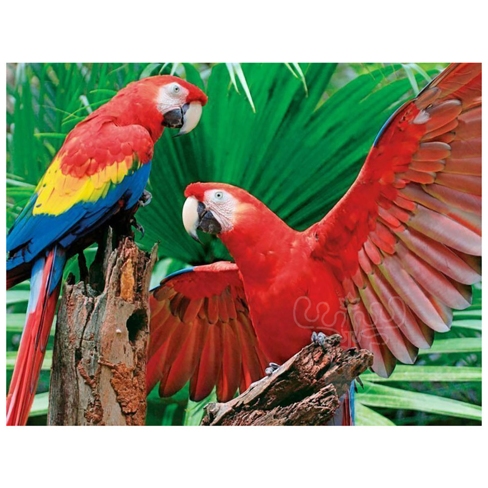 Springbok Scarlet Macaw Family Puzzle 400pcs - Puzzles Canada