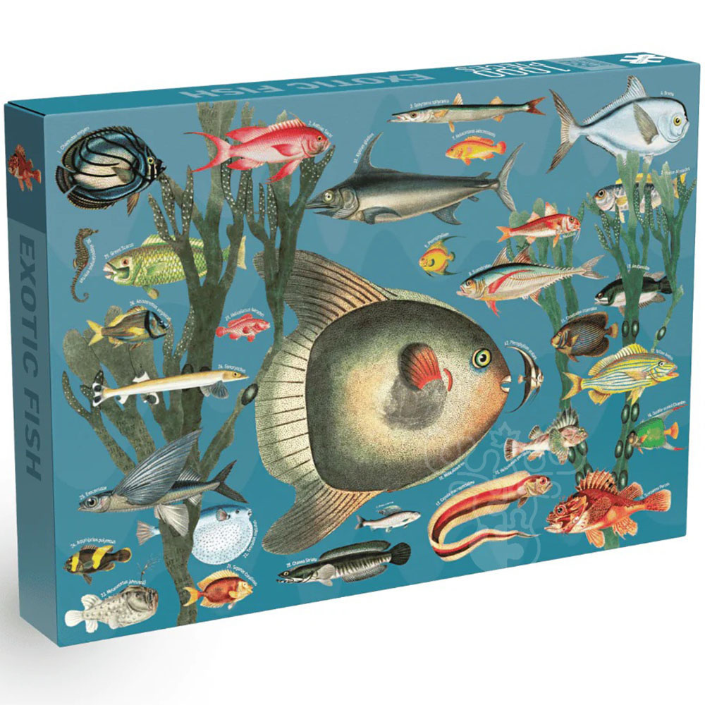 Penny Puzzle Exotic Fish Puzzle 1000pcs - Puzzles Canada