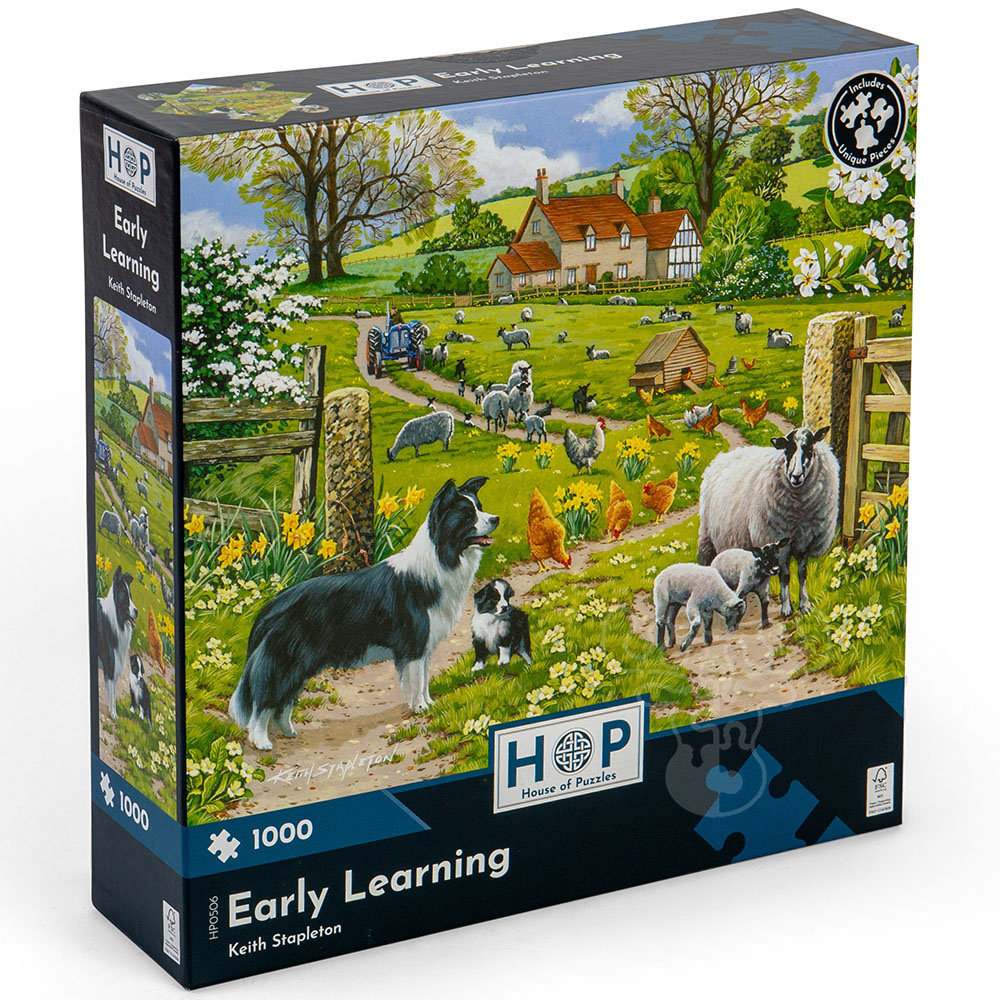 House of Puzzles Early Learning Puzzle 1000pcs - Puzzles Canada