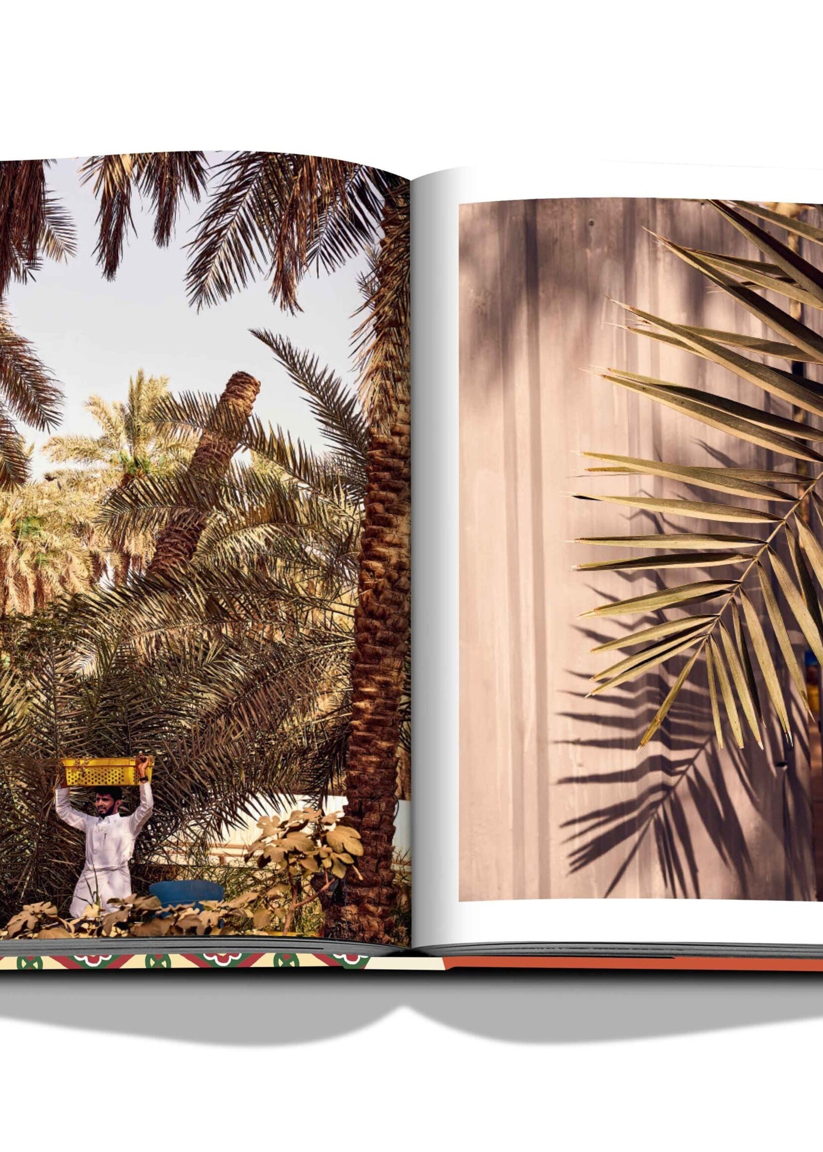 Saudi Dates: A Portrait of the Sacred Fruit - Jade