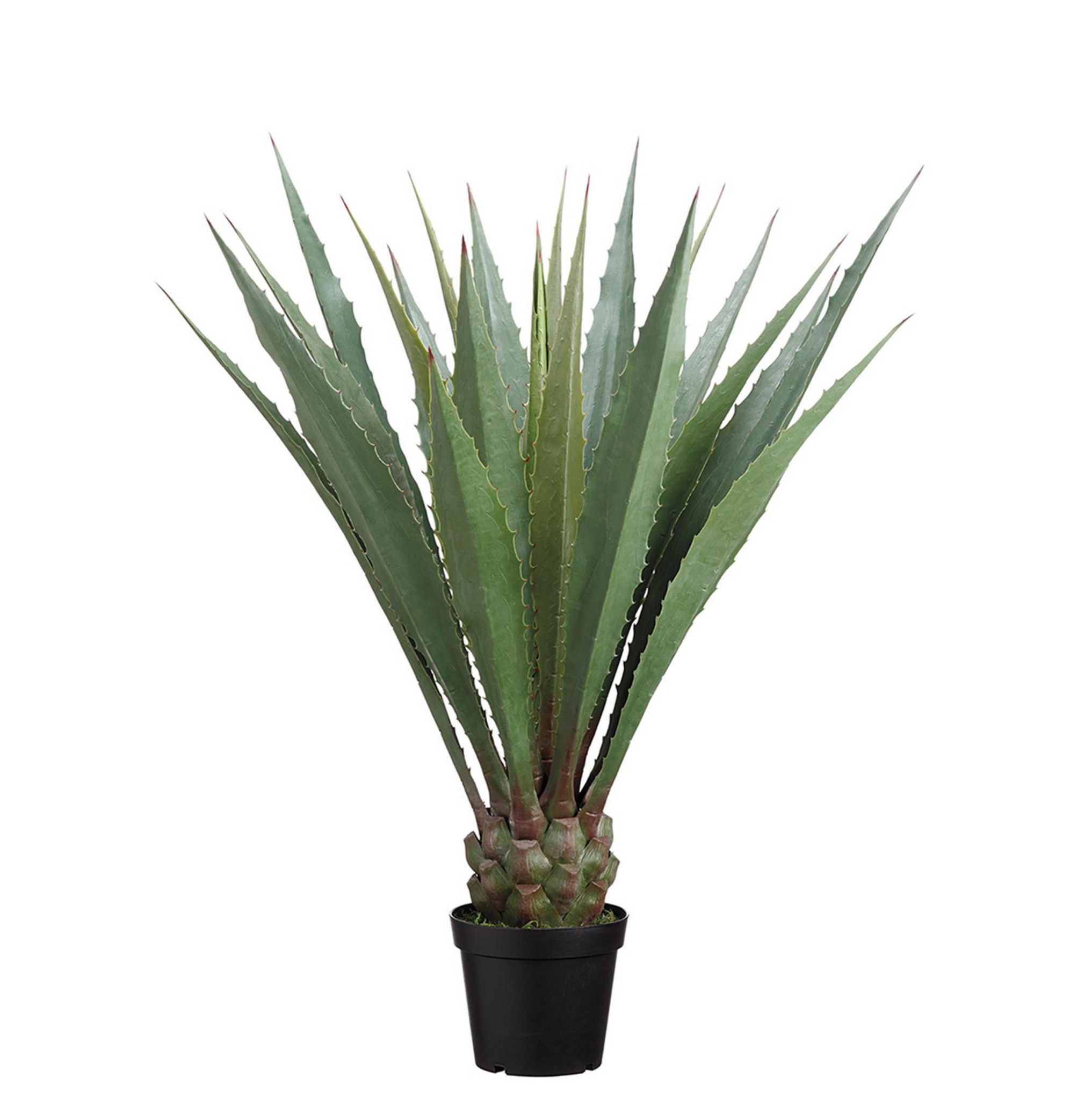 AGAVE AMERICANA 48" - Portside Interiors