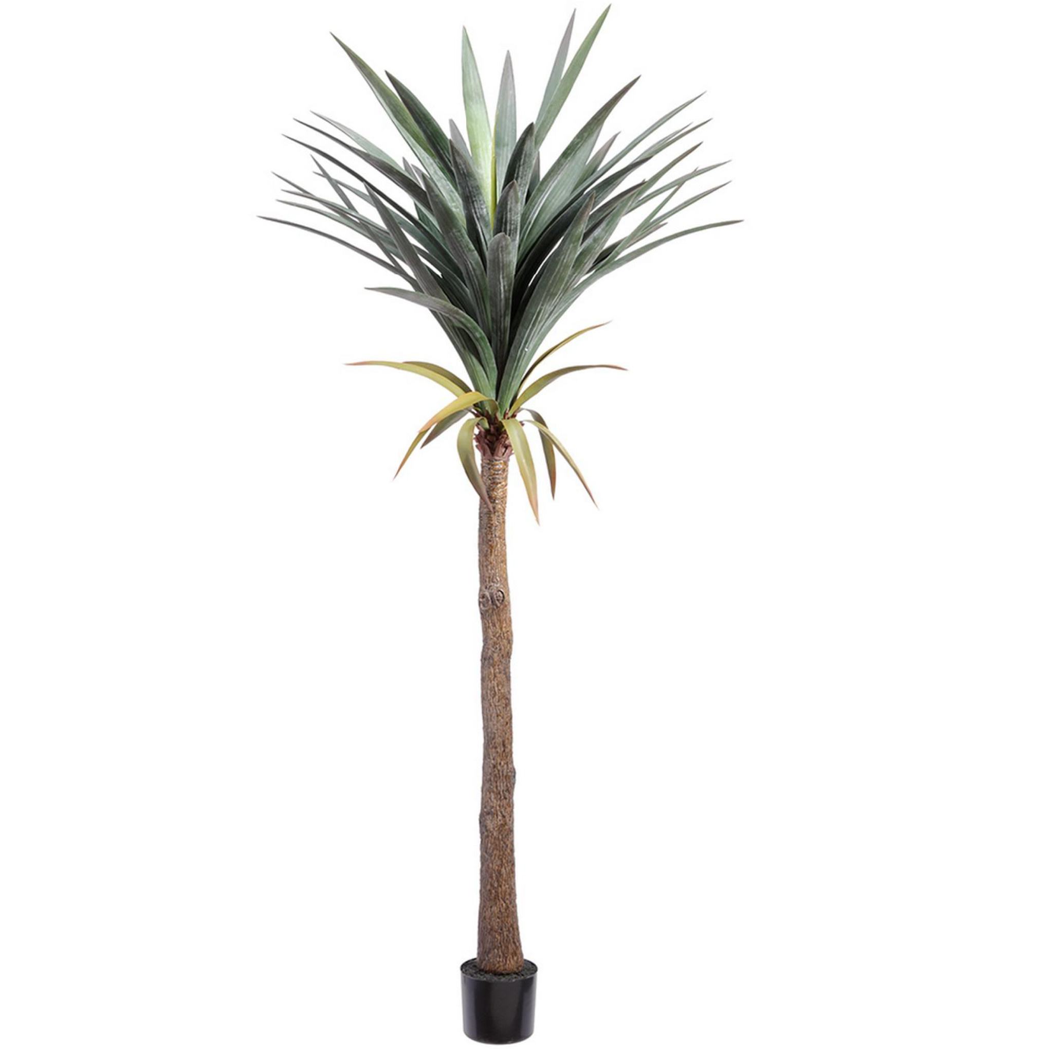 YUCCA TREE 74" - Portside Interiors