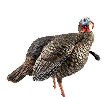 AVIAN-X HDR JACK TURKEY DECOY - Lefebvre's