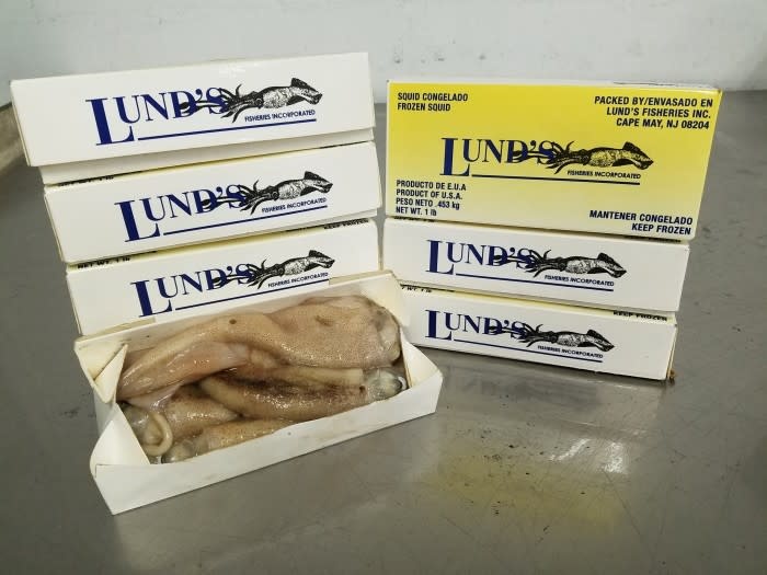 Frozen Squid 1lb - Lund's | Estero Outfitters - Estero River Outfitters