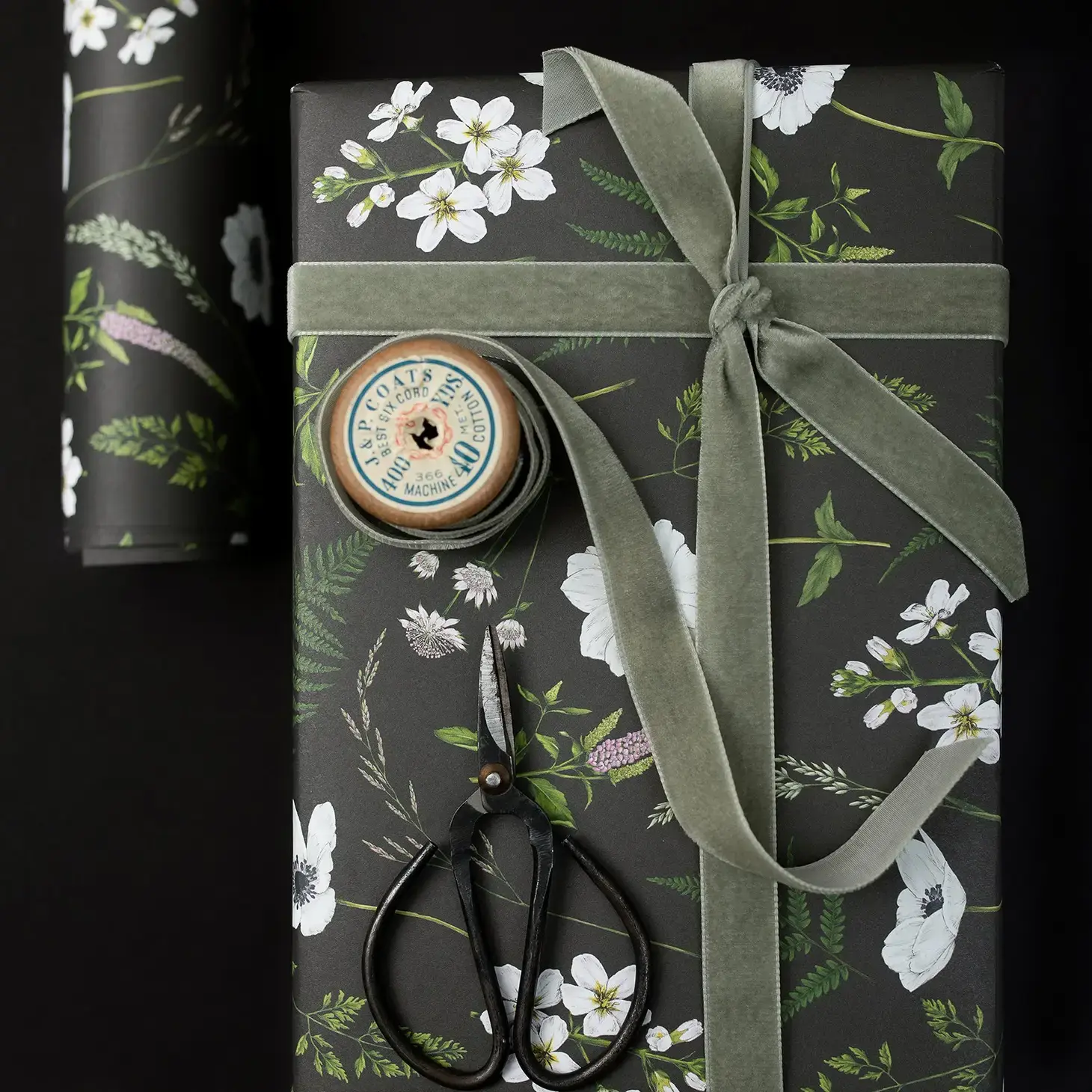 Catherine Lewis Designs, Wild Meadow Gift Wrap - Hansell and Halkett