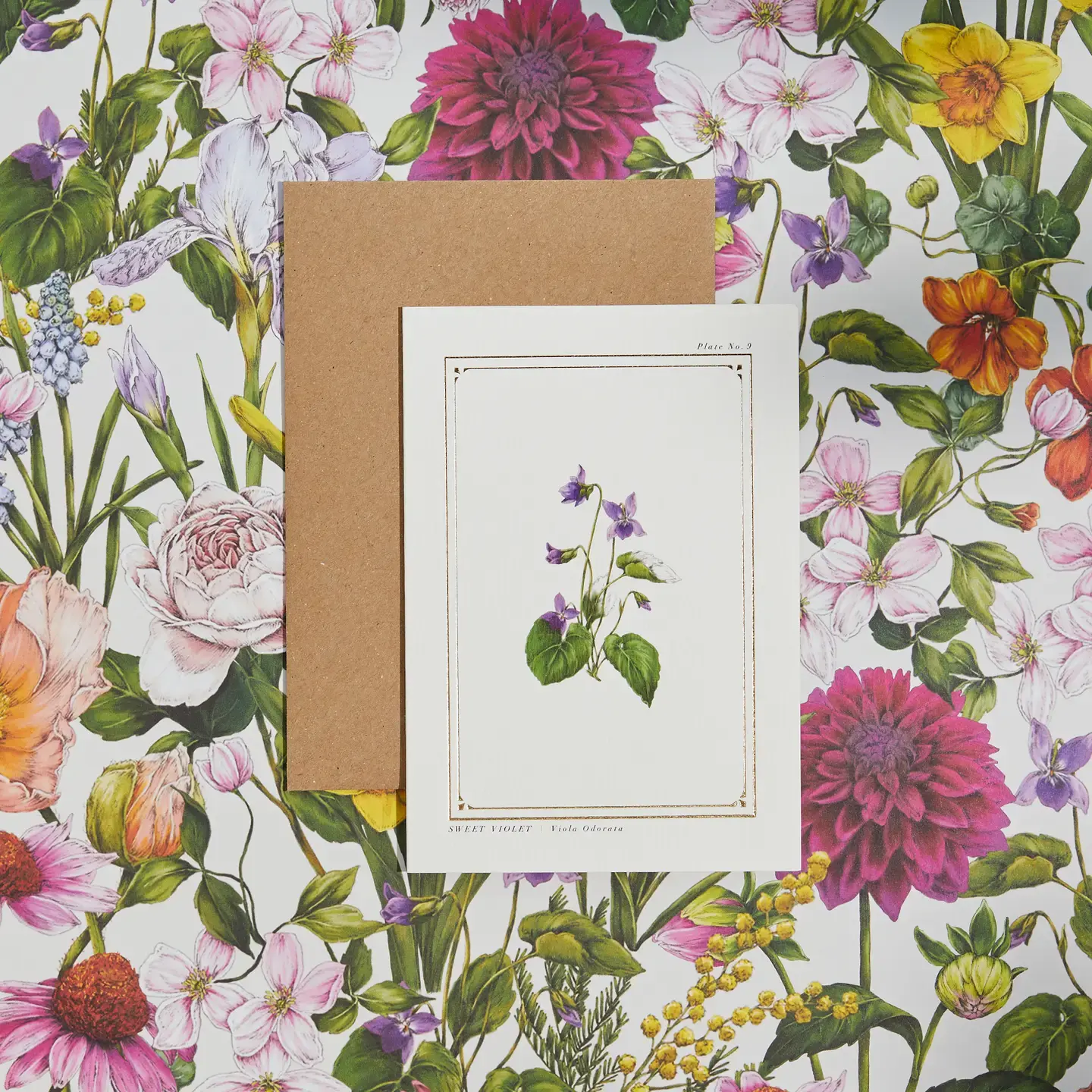 Catherine Lewis Design Sweet Violet Card - Hansell and Halkett