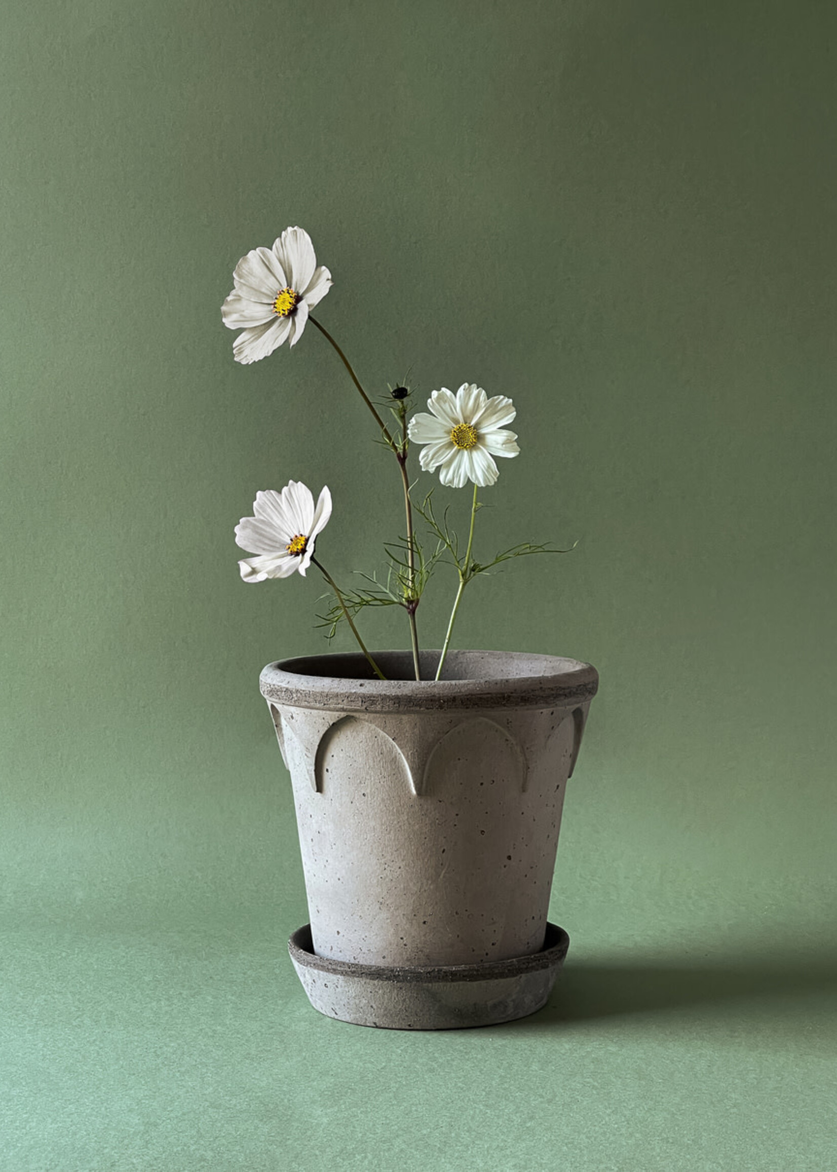 ELIZABETH, Raw Grey 14cm - Hansell and Halkett