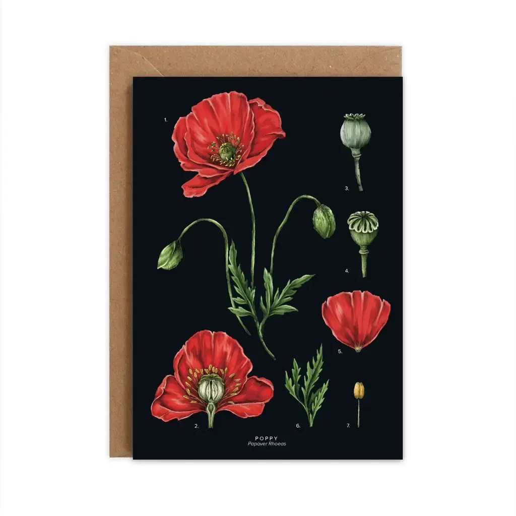 Catherine Lewis Design, Poppy Card - Hansell and Halkett