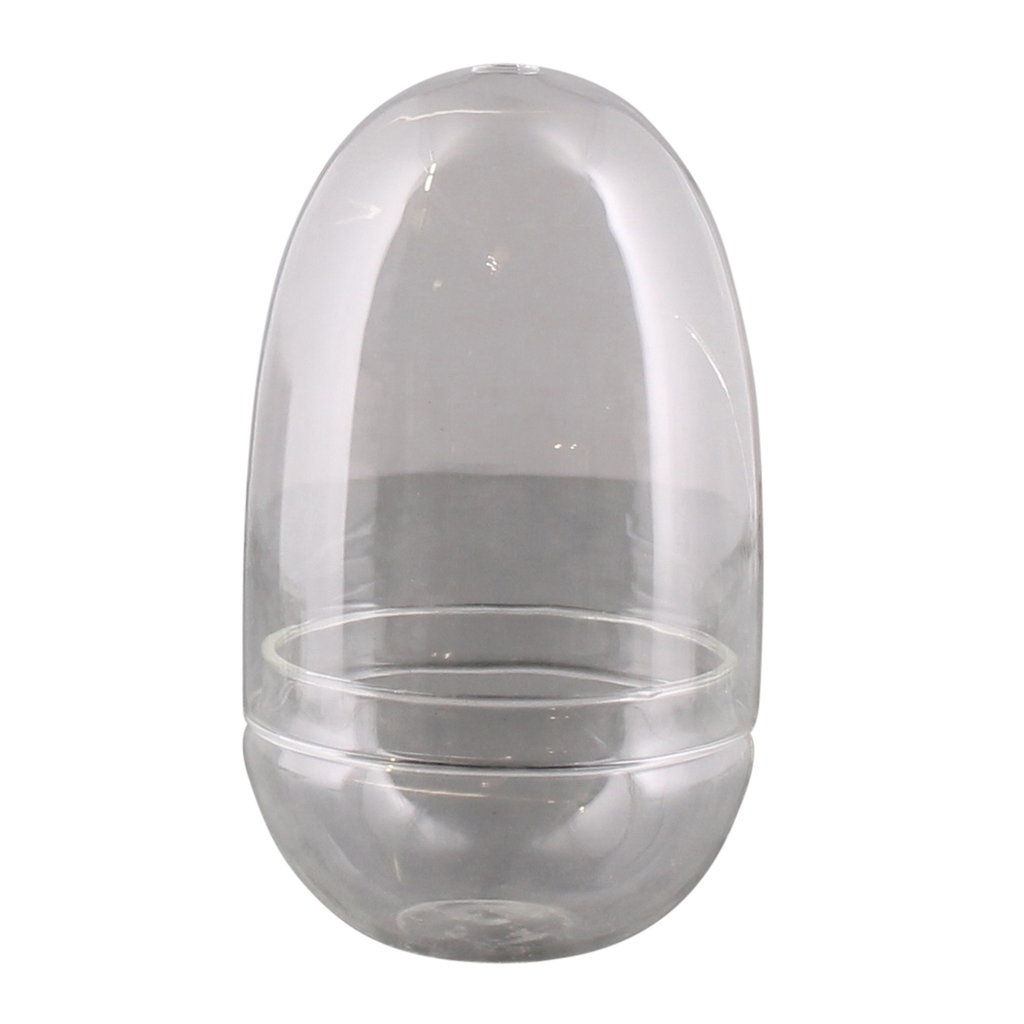 3.5" x 7" Oval Tabletop Glass Terrarium - Centro Garden