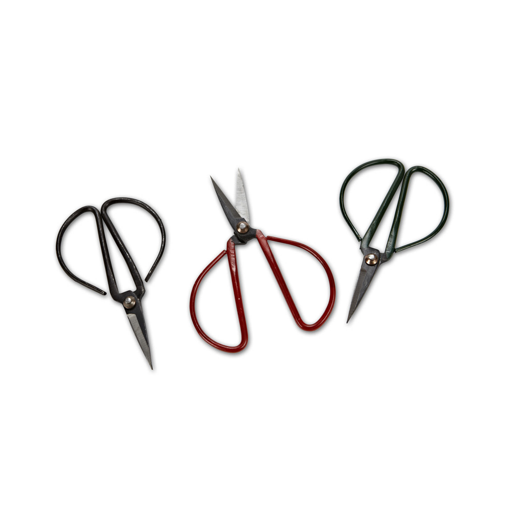 Small Flower Stem Shears 3 Assorted Colours - Centro Garden
