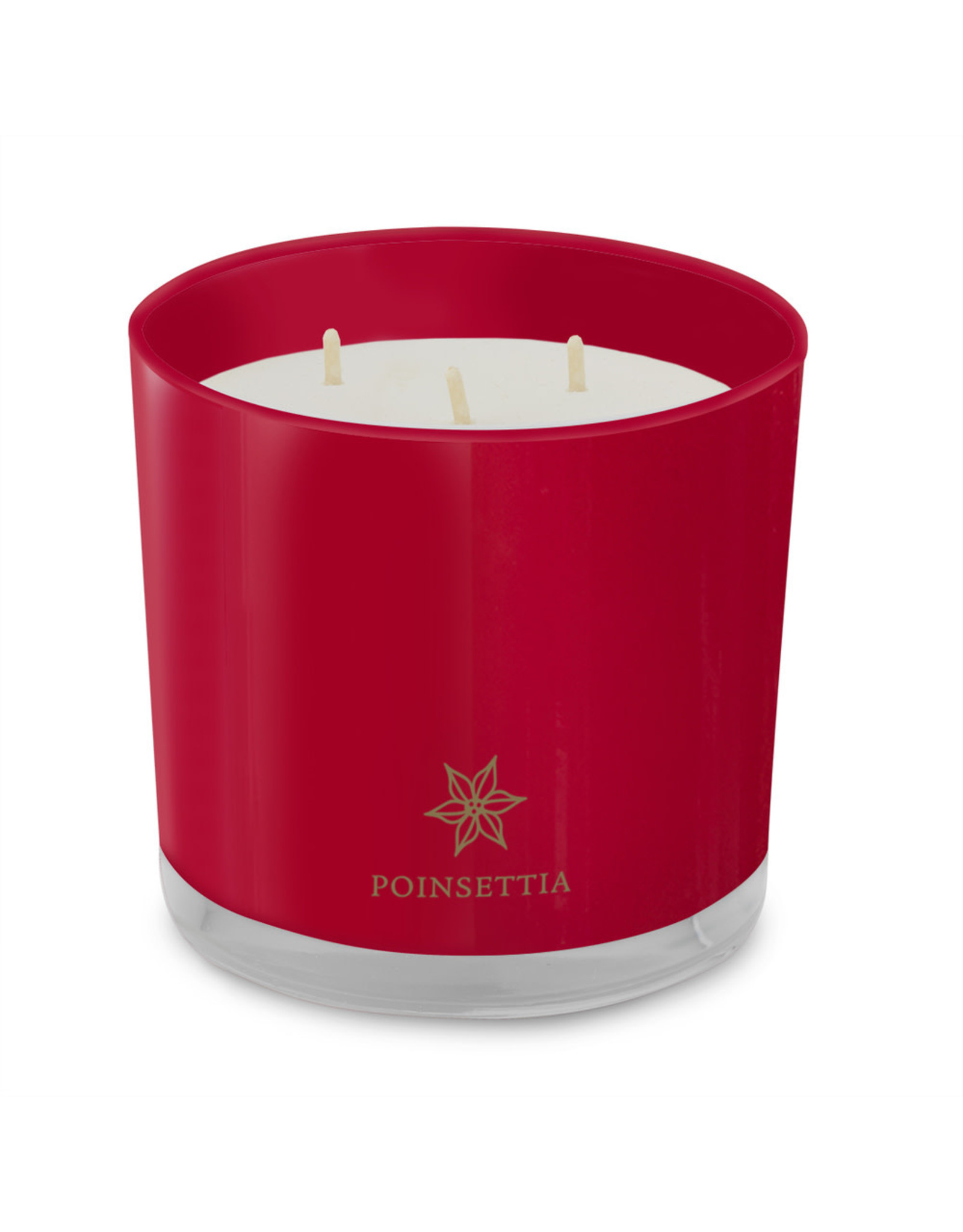 Root Candle - Poinsettia 3-Wick Honeycomb Candle - Reilly's Church ...