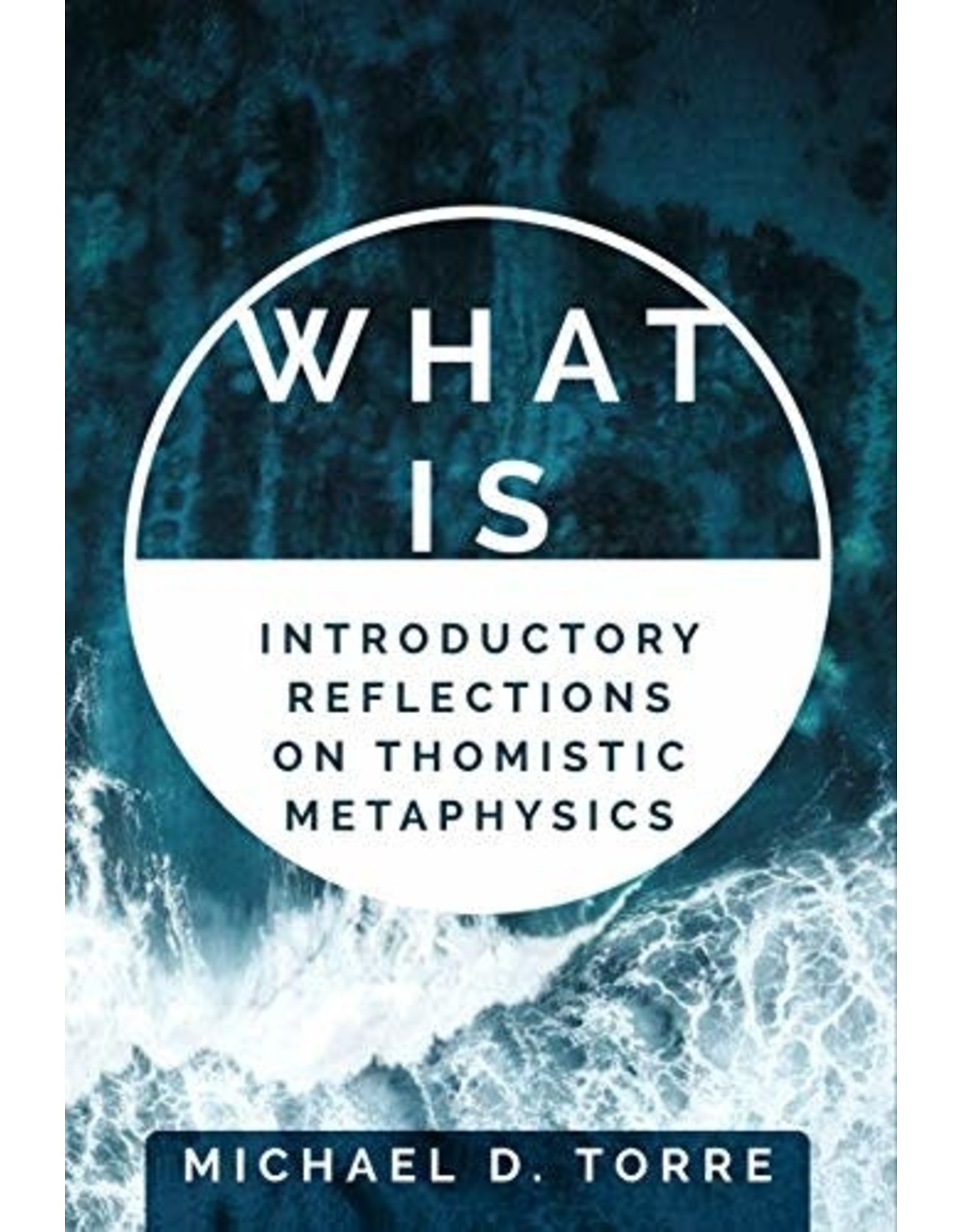 What Is: Introductory Reflections on Thomistic Metaphysics - Reilly's ...