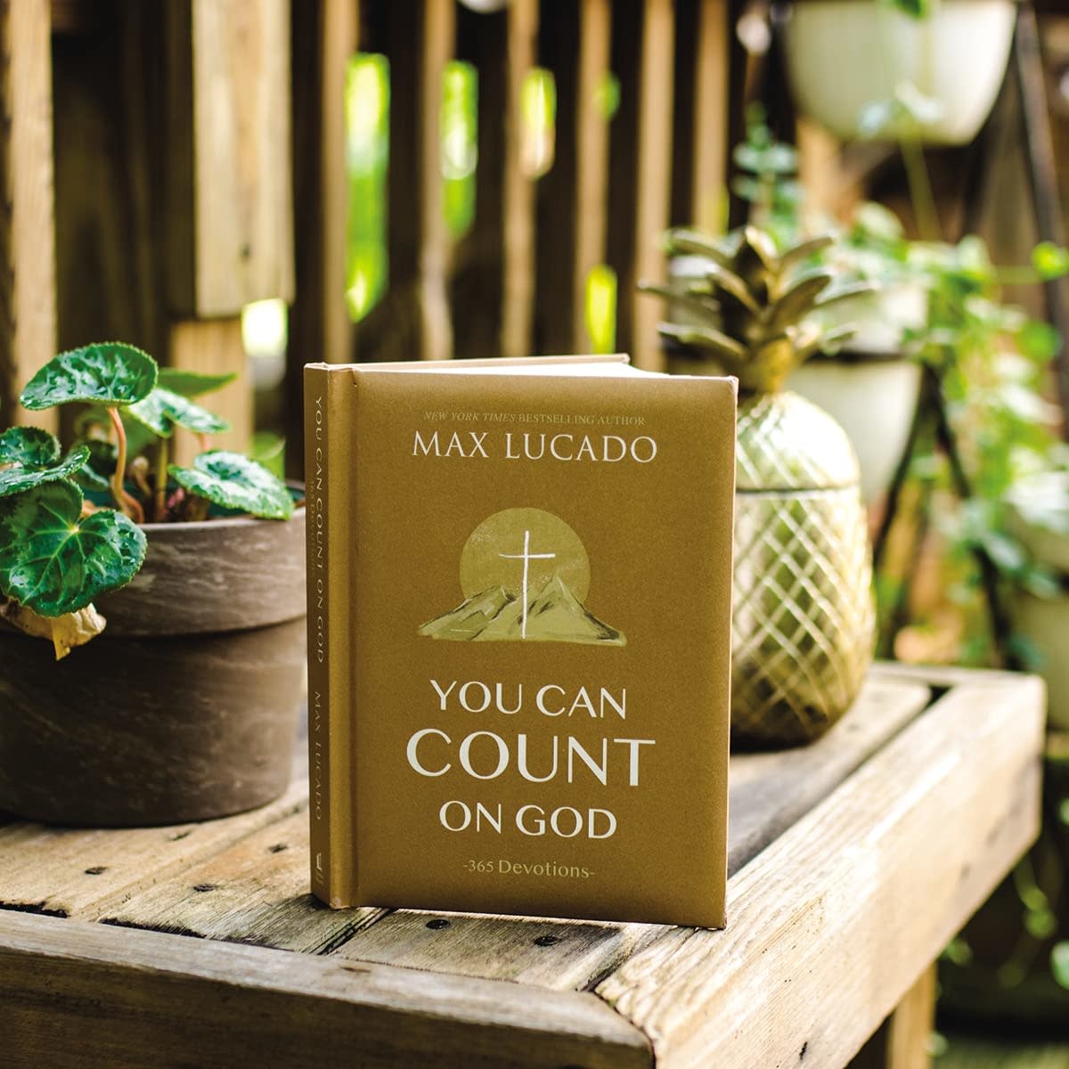 You Can Count on God - 365 Devotions - Reilly's Church Supply & Gift ...