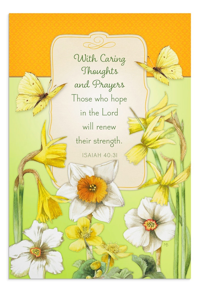 Boxed Cards - Get Well, Nature's Blessing (12) - Reilly's Church Supply ...