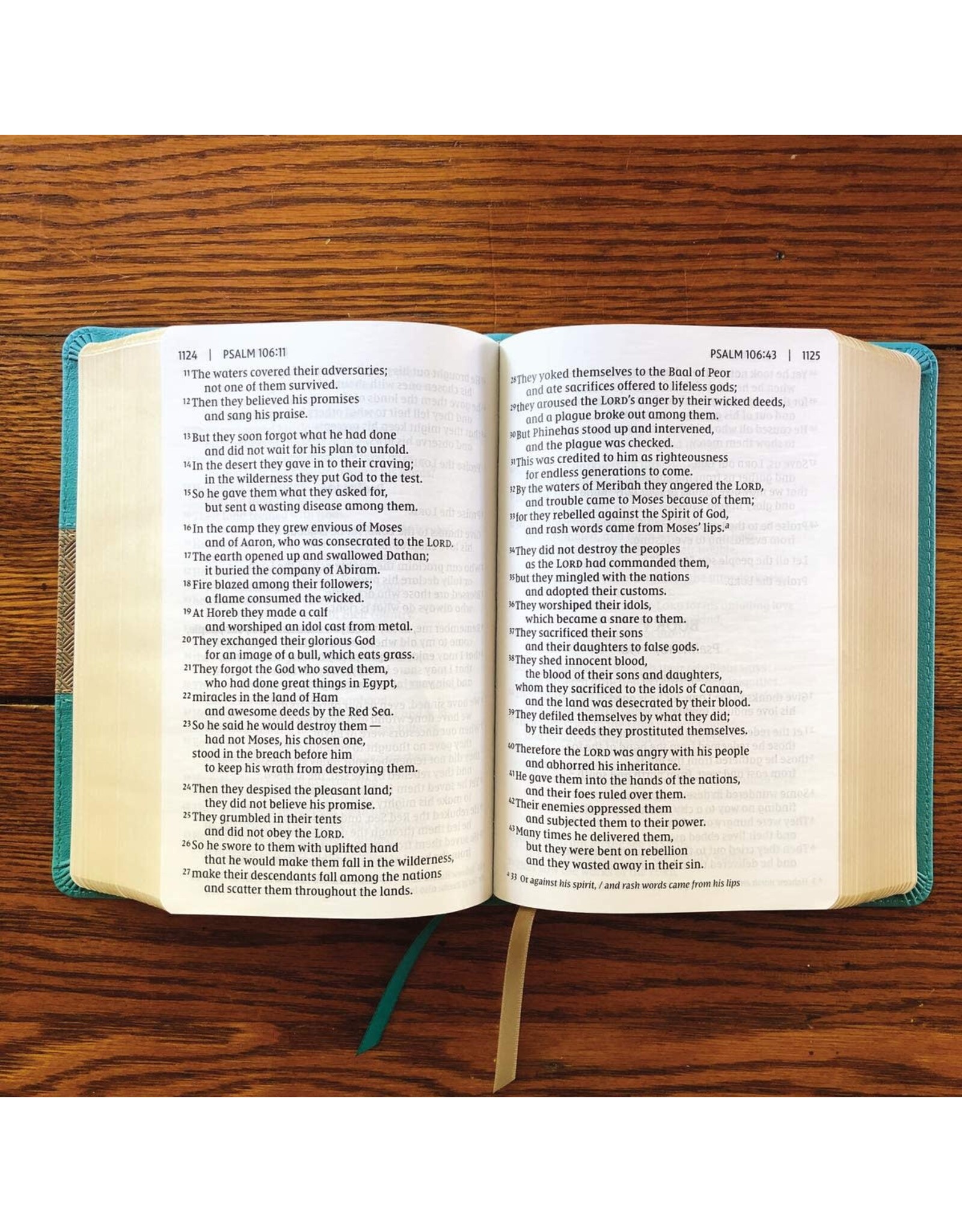NIV Giant Print Compact Bible, Leathersoft, Teal, Red Letter Edition ...