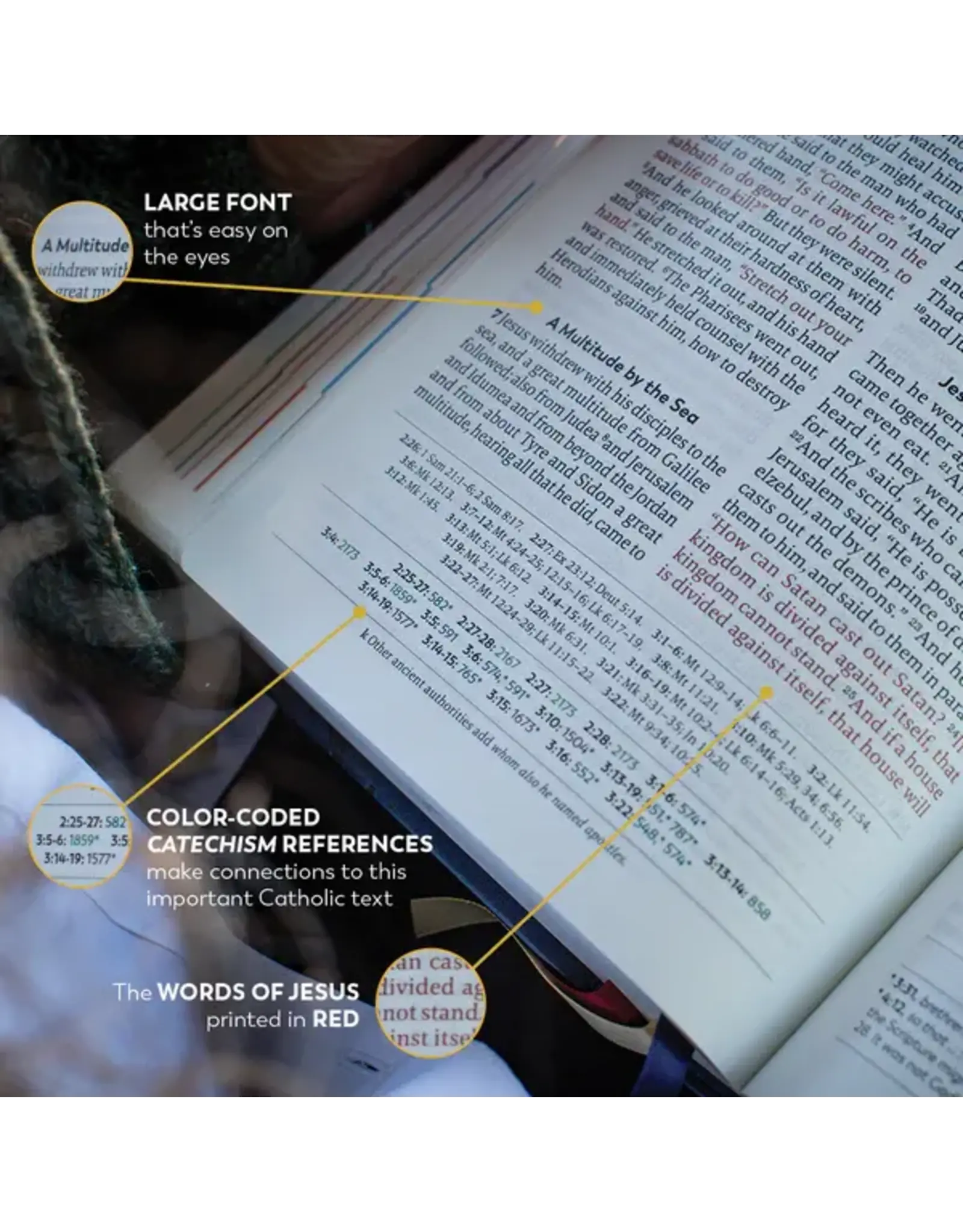 The Great Adventure Catholic Bible, Large Print Version - Reilly's Church Supply & Gift Boutique