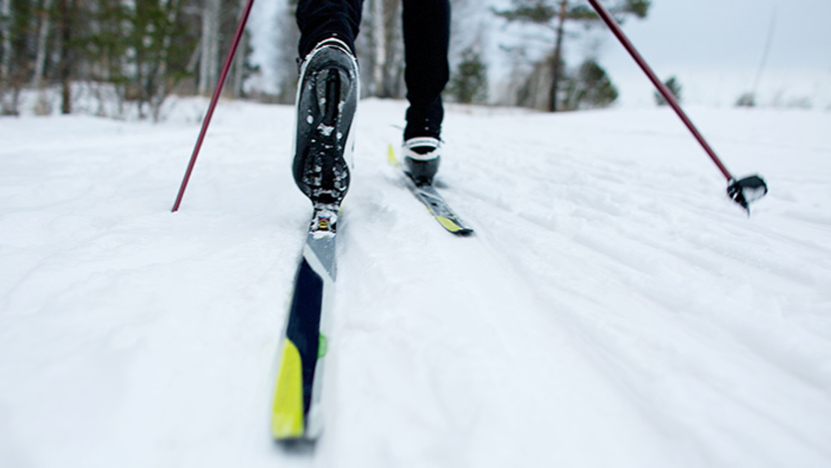 Blog by WMS - How to Improve Your Nordic Ski Technique: Tips from Local ...