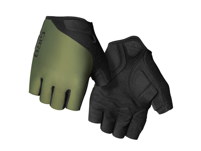 Cycle Robert - Cycle Robert