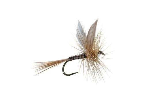 Ginger Quill Dry Fly - Royal Gorge Anglers