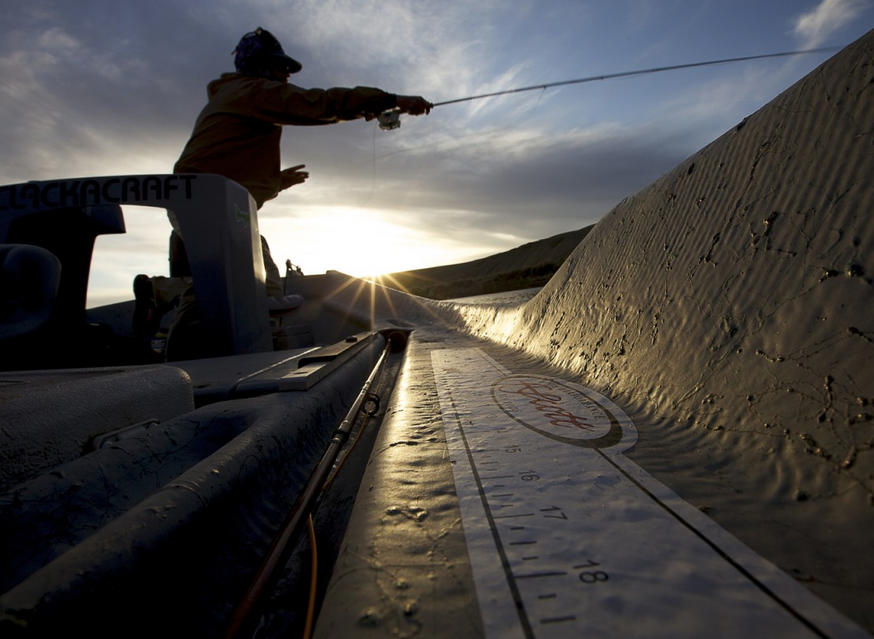 SCOTT 24" Ruler Decal - Royal Gorge Anglers