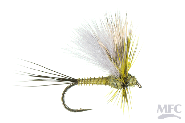 Jake's Hatchback #20 BWO (3 Pack) - Royal Gorge Anglers