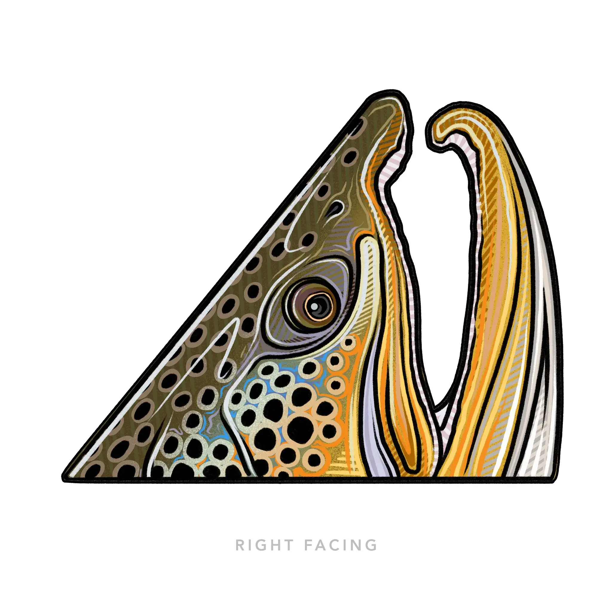 Casey Underwood Trout Rise Sticker - Royal Gorge Anglers