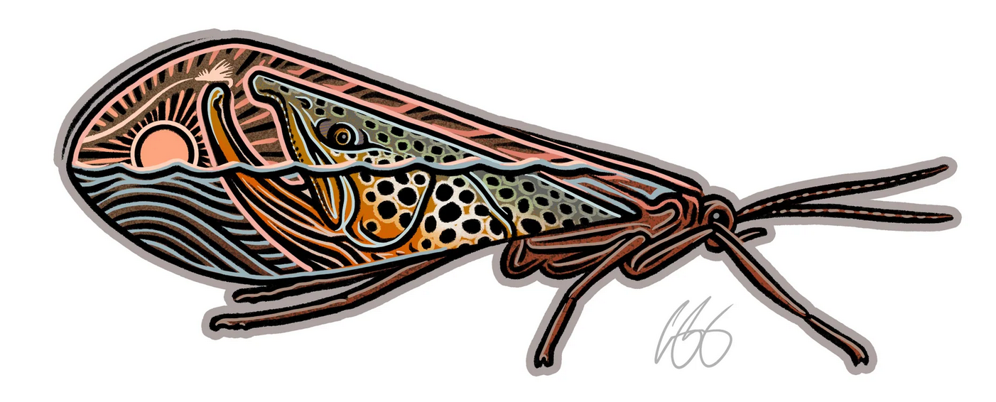 Casey Underwood Caddis Scape Sticker - Royal Gorge Anglers