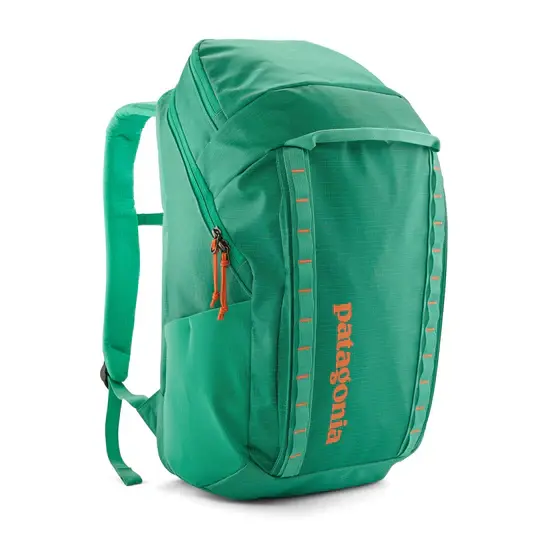 Patagonia Black Hole® Pack 32L (AQST) - Royal Gorge Anglers