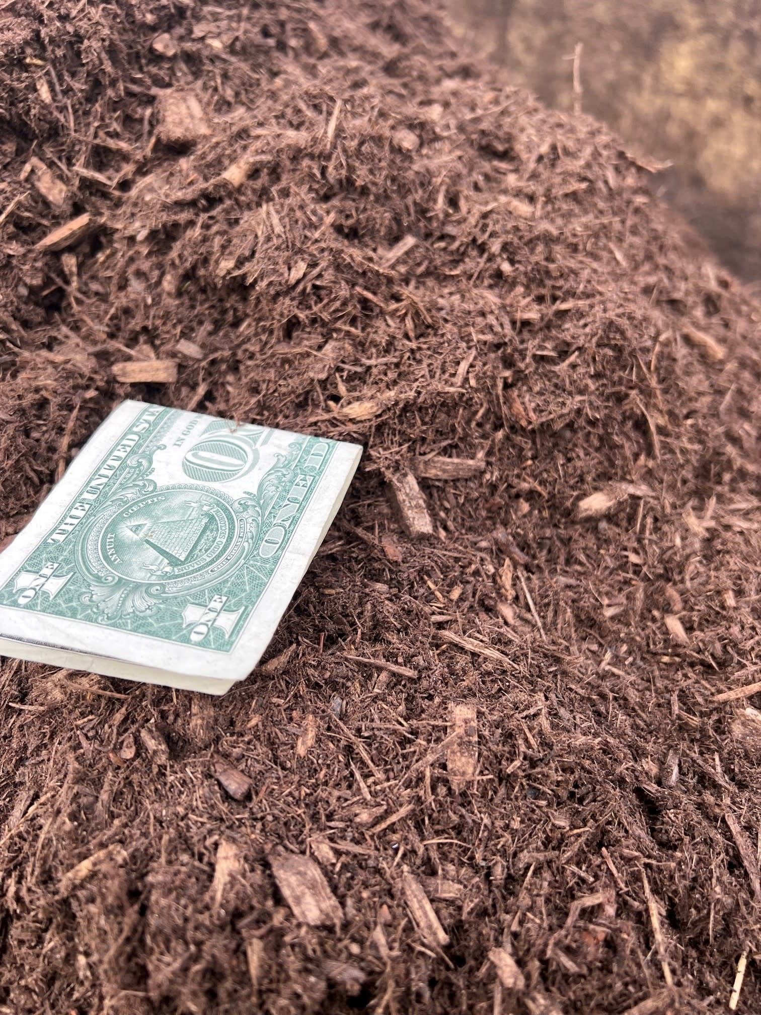 BB Fine - Beans Farm, Inc