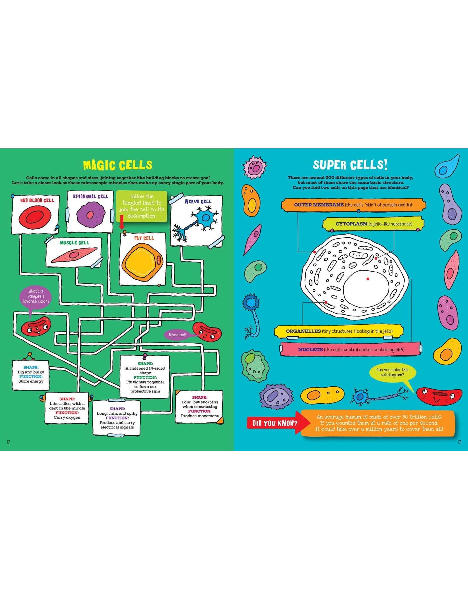 The Human Body Activity Book Wit Whimsy Toys The Human Body Activity Book Wit Whimsy Toys