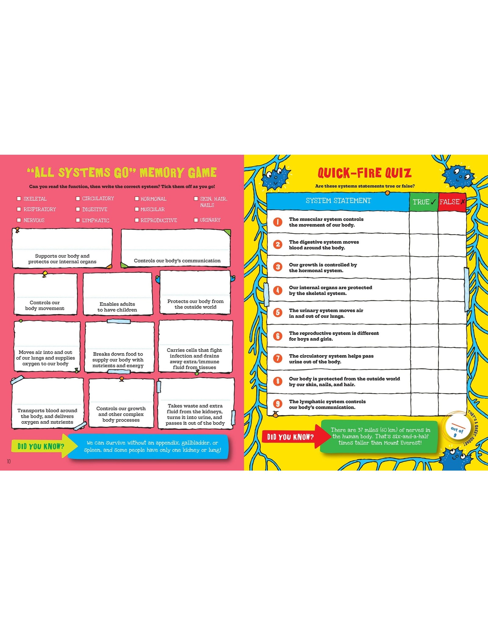 The Human Body Activity Book Wit Whimsy Toys the-human-body-activity-book-wit-whimsy-toys
