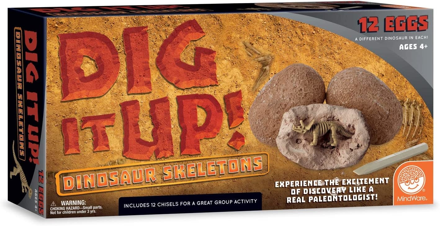 Dig it Up! Dino Skeletons 12 Pack - Wit & Whimsy Toys