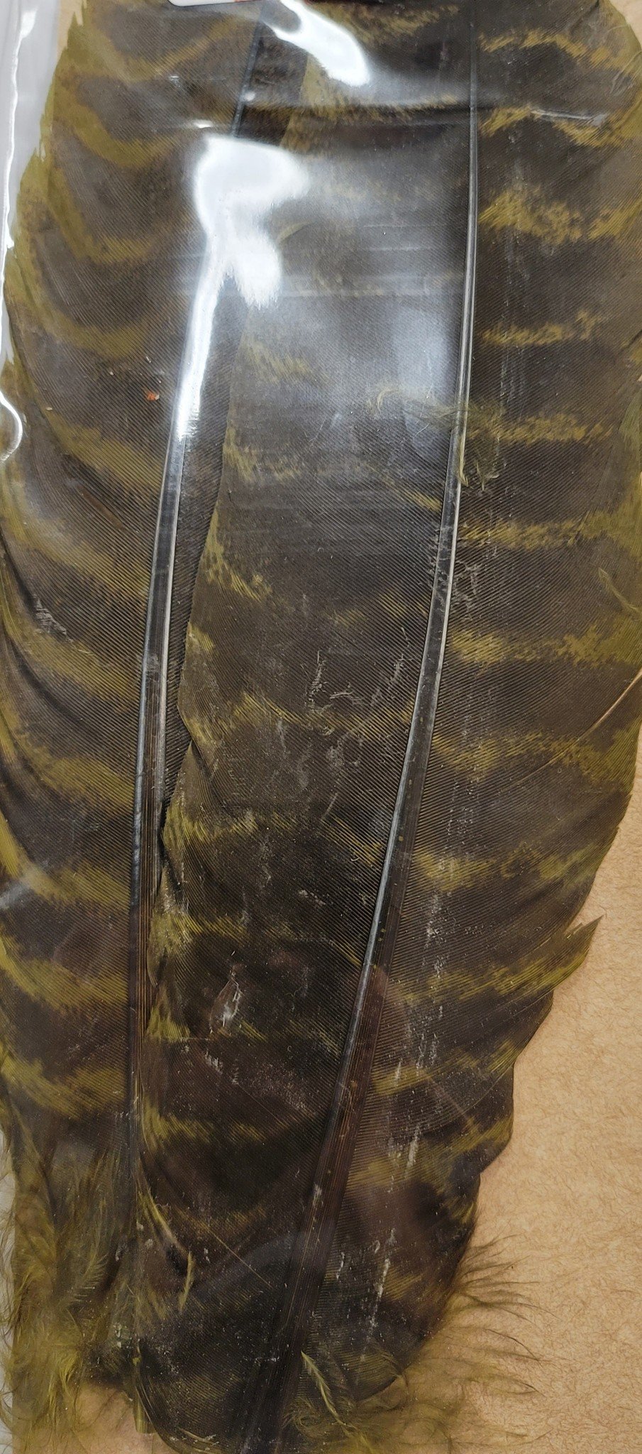 OZARK TURKEY QUILL, OLIVE - All Seasons Sports, Inc