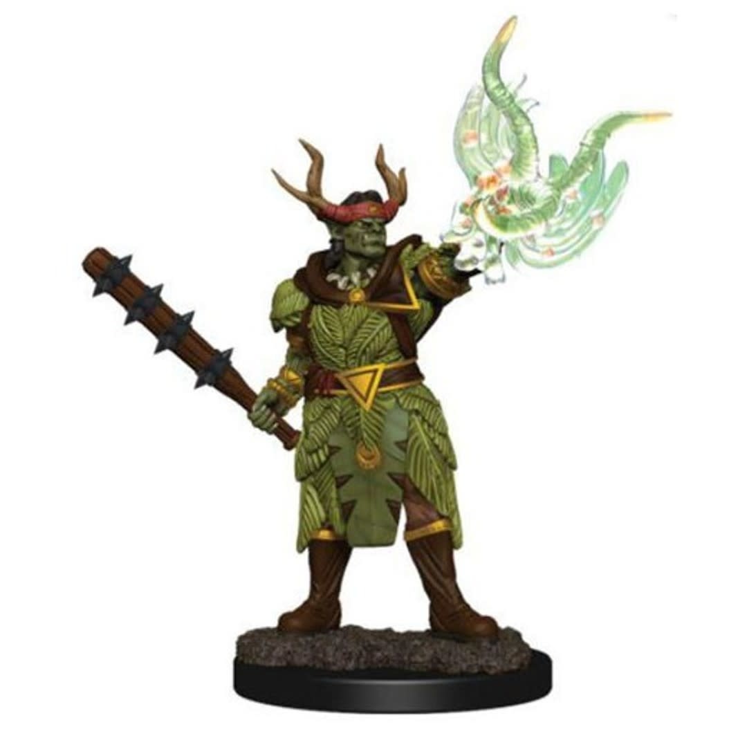 Pathfinder Druid Male