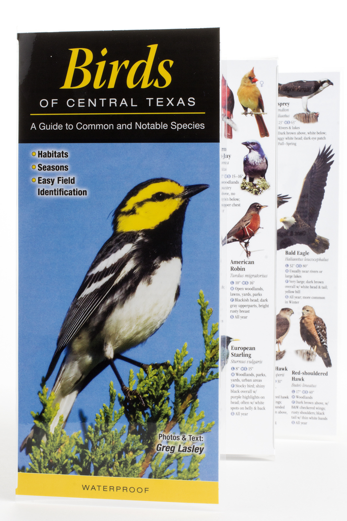 Birds of Central Texas Guide PB - The Store at LBJ