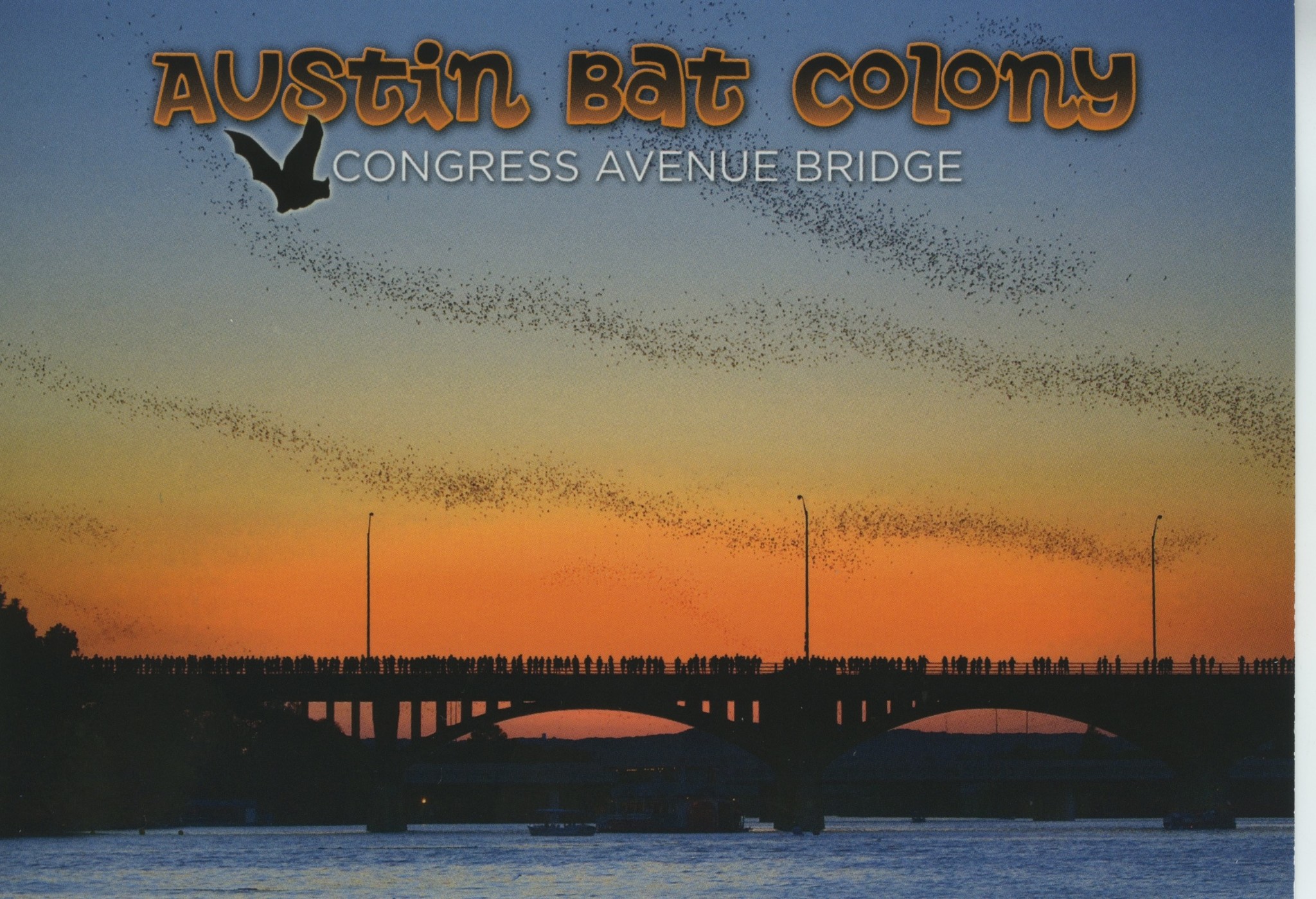 Austin Bat Colony Postcard - The Store at LBJ