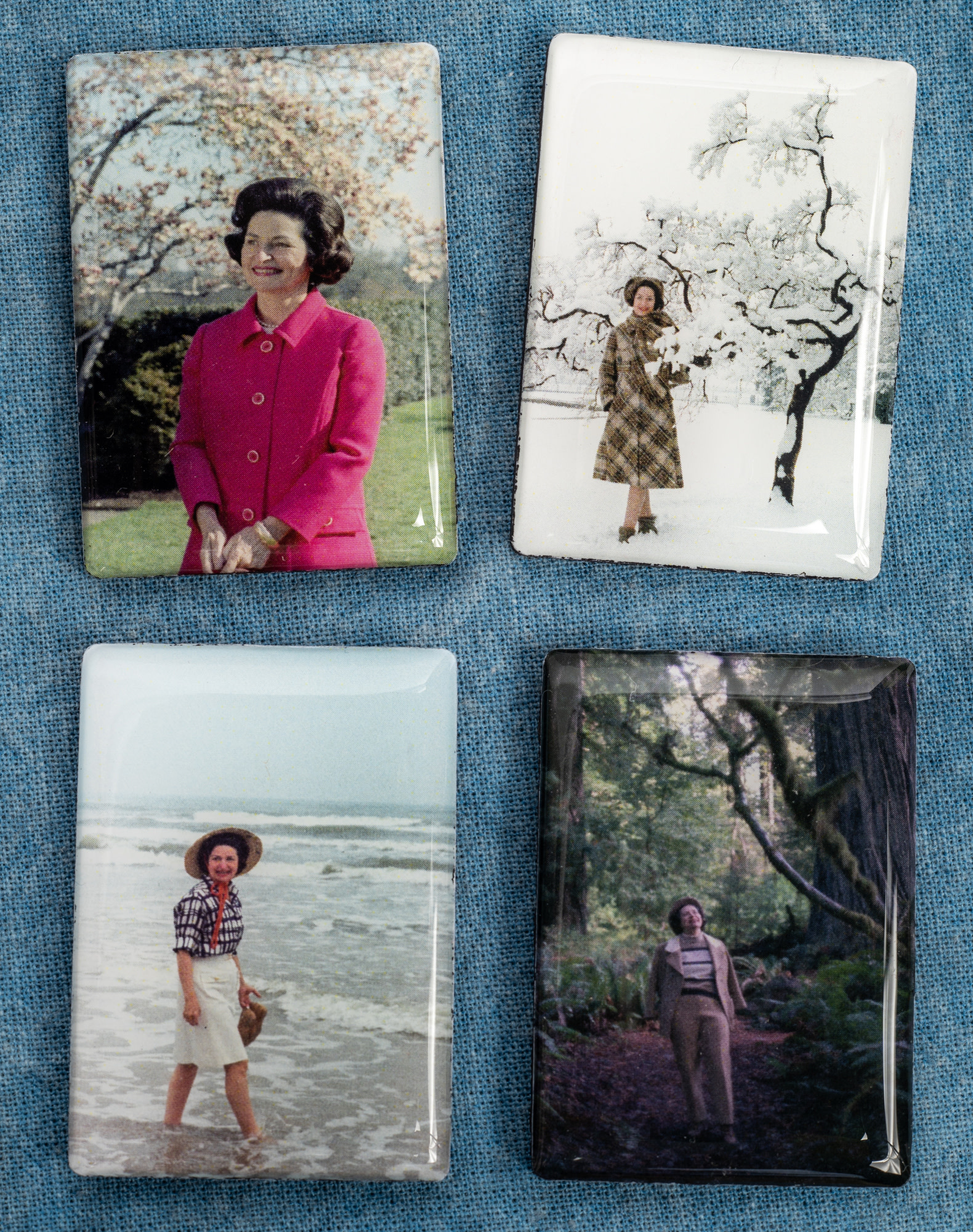 Lady Bird Seasons Magnet Set - The Store at LBJ