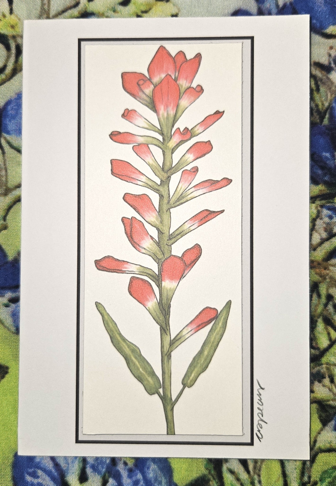 Indian Paintbrush Raised Card - The Store at LBJ