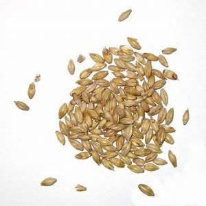 Rahr 6-Row Malt - The Cellar LLC