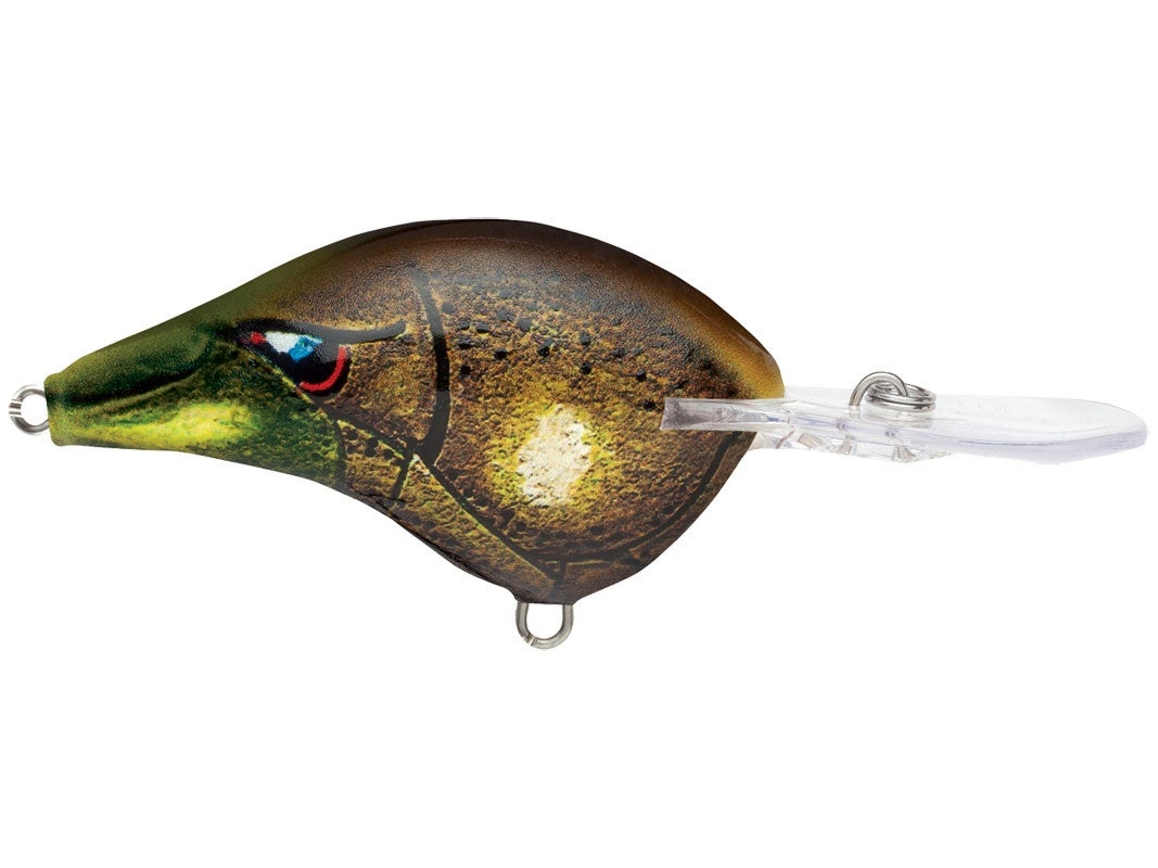 DT6 CRANKBAITS - Modern Outdoor Tackle